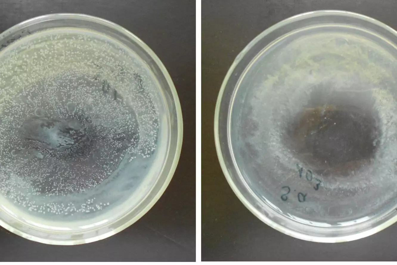 Ang mga siyentipiko ng Moscow State University ay lumikha ng isang natatanging bactericidal na materyales