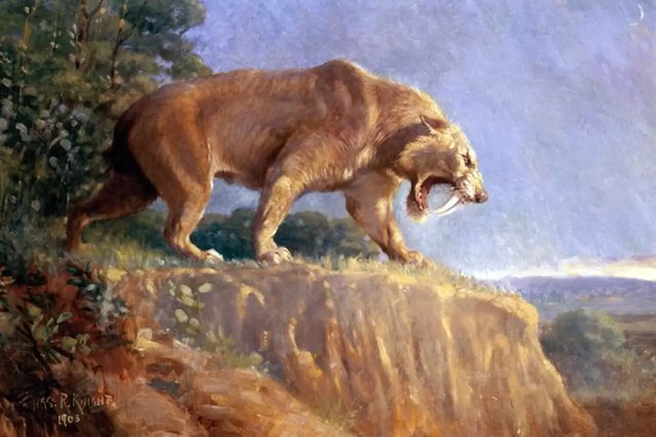 Smilodon