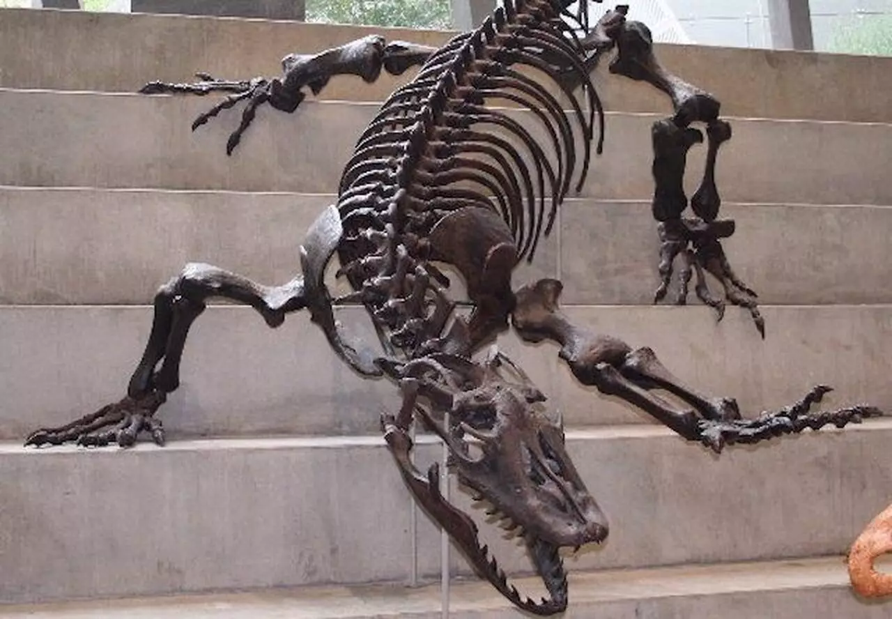 Megalania