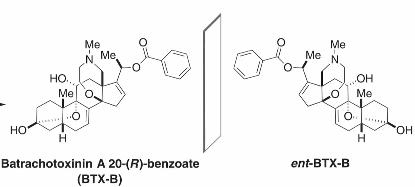 Aan de linkerkant is het originele BTX-molecuul, aan de rechterkant is het enantiomeer