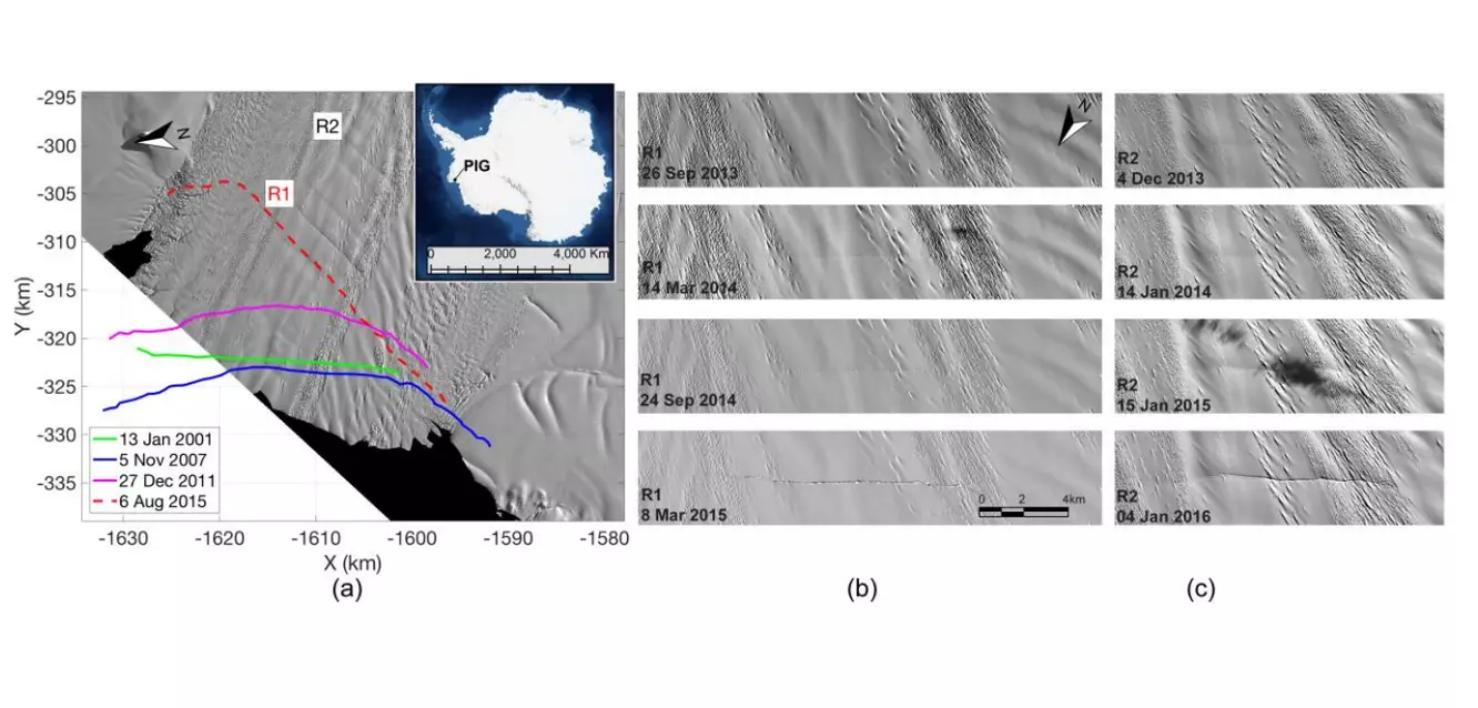 Mapetsong a leqhoa la Antarctic a fumanoeng ke bo-rasaense ba Univesithi ea Ohio