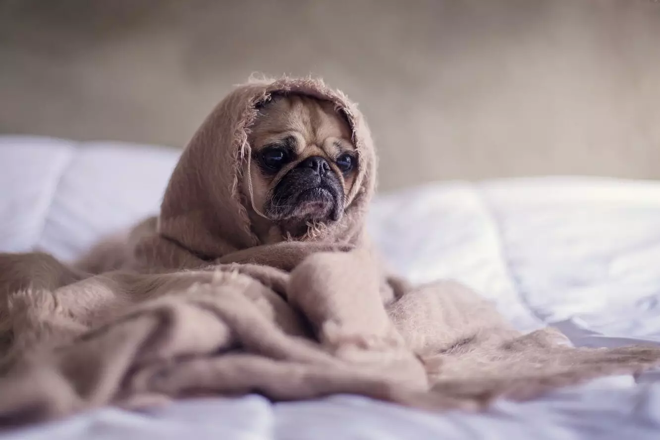 Polar vortex: menene kuma ya kamata mu ji tsoronsa