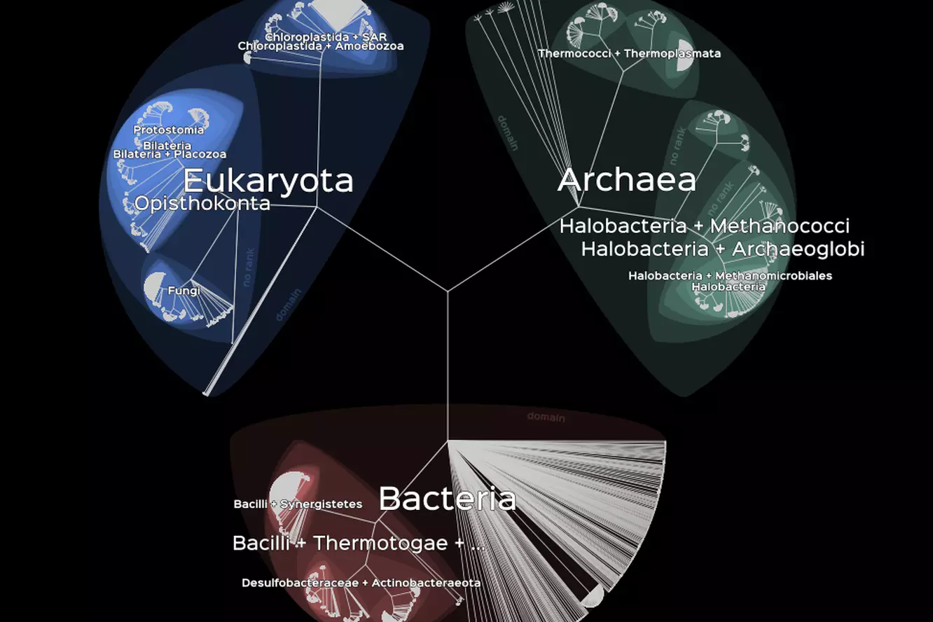 Ilkinji interaktiw durmuş agajy döredildi: ähli janly-jandarlar bir diagrammada