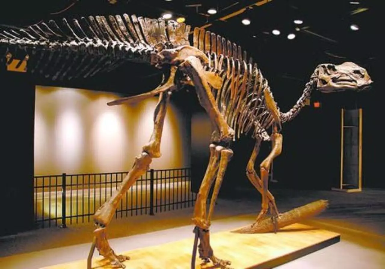 Mapazi akulu kwambiri a dinosaur omwe amapezeka ku China 349486_2