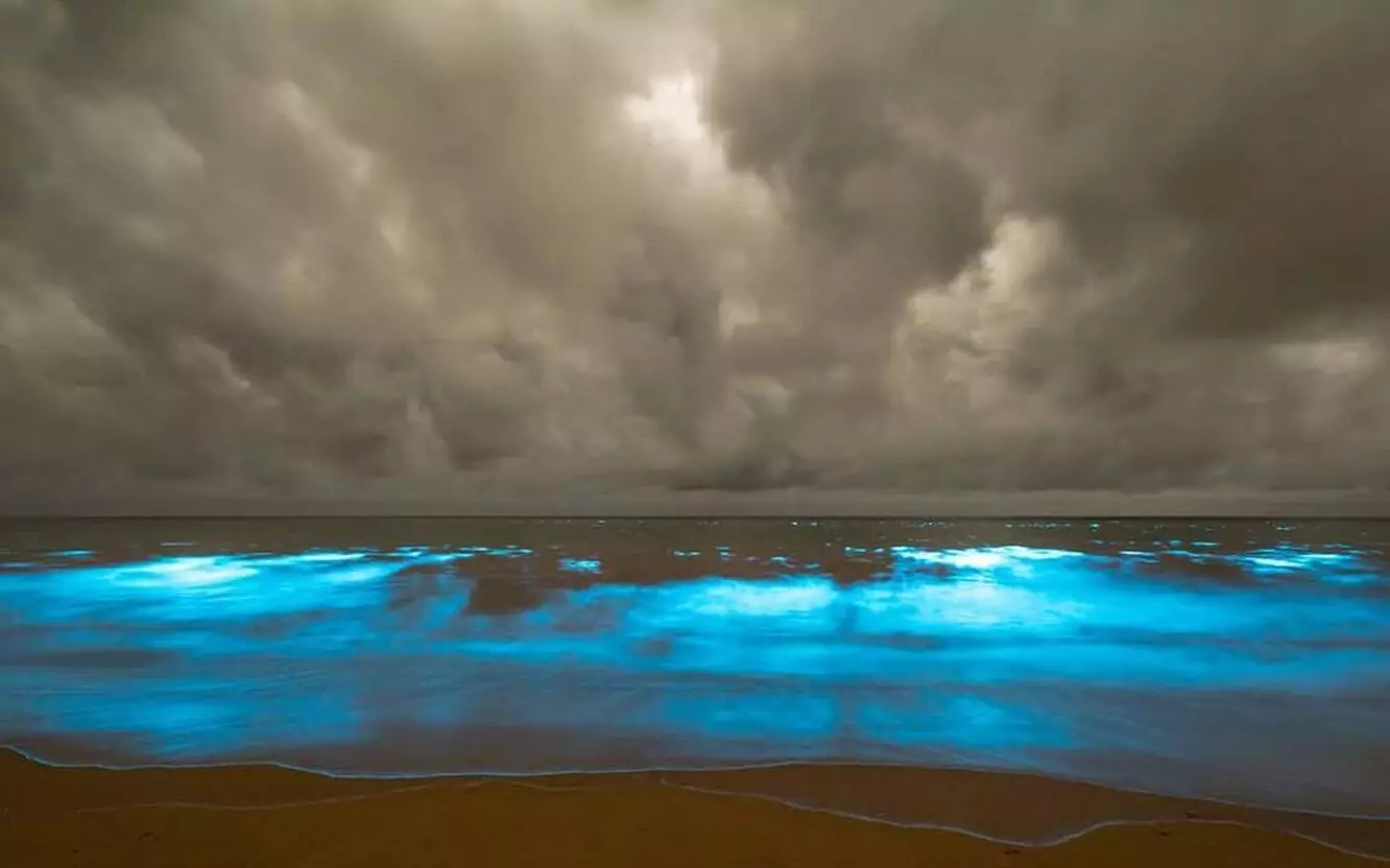 A baía na Austrália brilhou com luz azul 349504_3