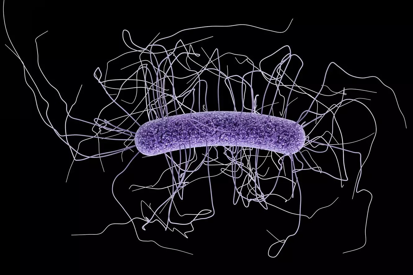 Mas malakas kaysa sa mga antibiotic: sinisira ng bakterya ang sarili nilang DNA