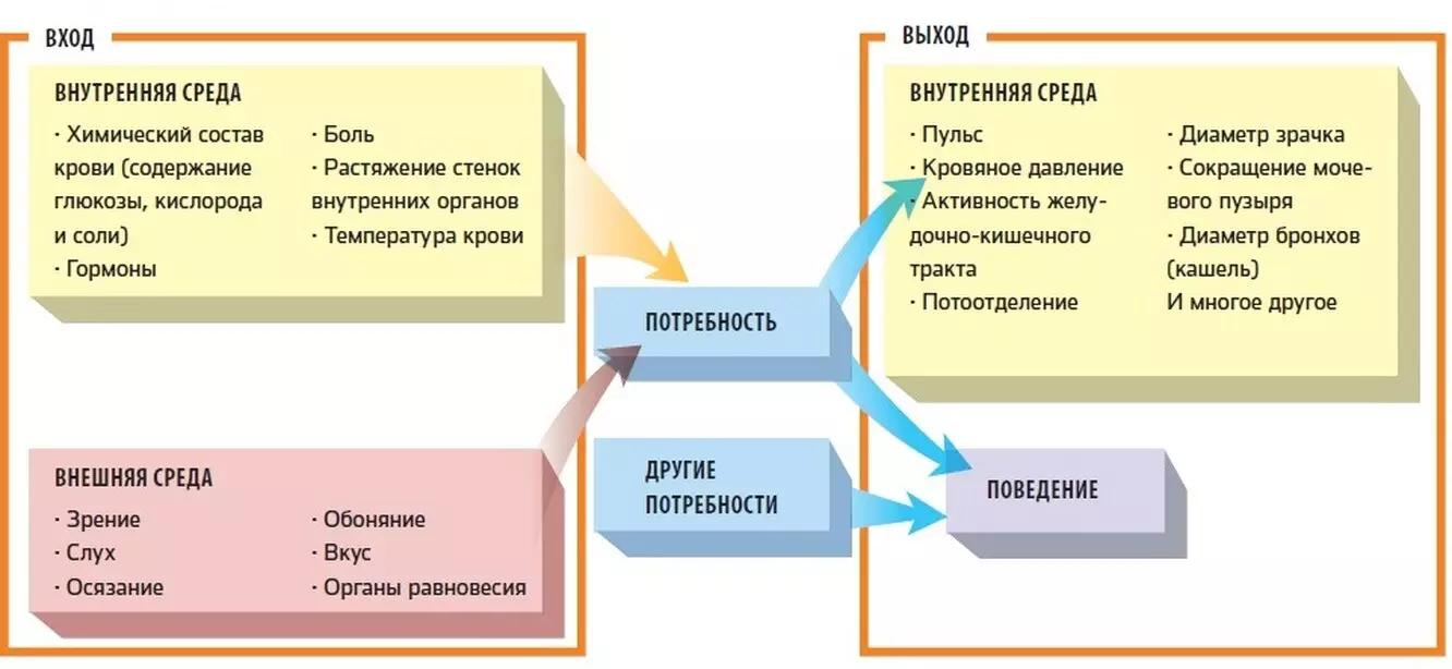 Потребан је радни алгоритам