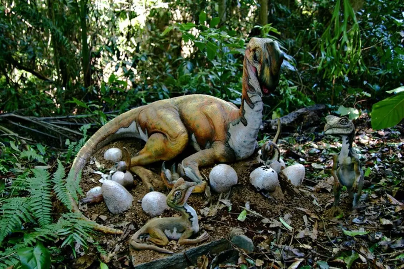 Ovos de dinosauro con embrións atopados en Arxentina