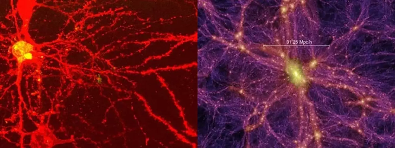 Визуелна споредба на мрежа од неврони и галактика