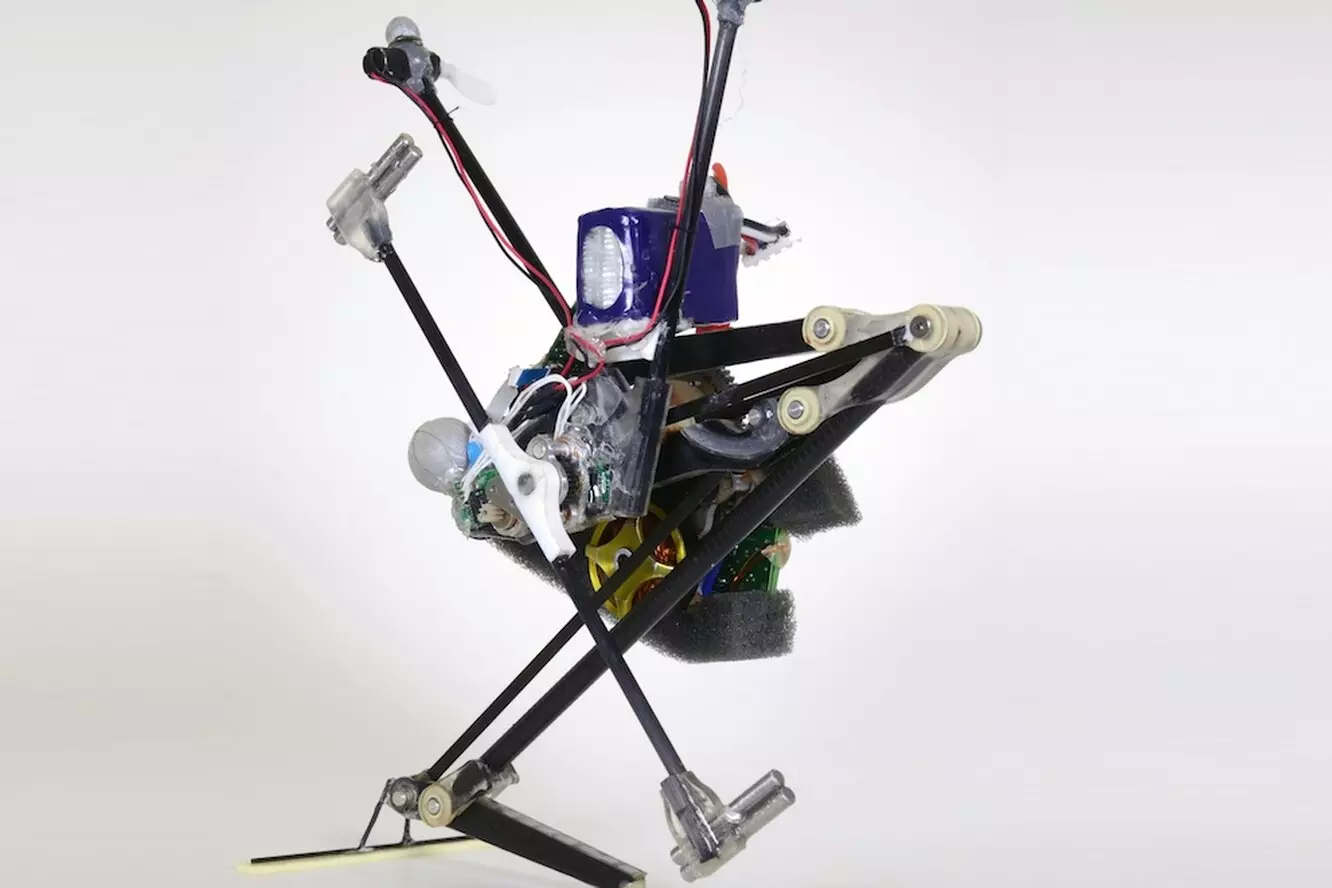 Salto: de meest springerige robot ter wereld