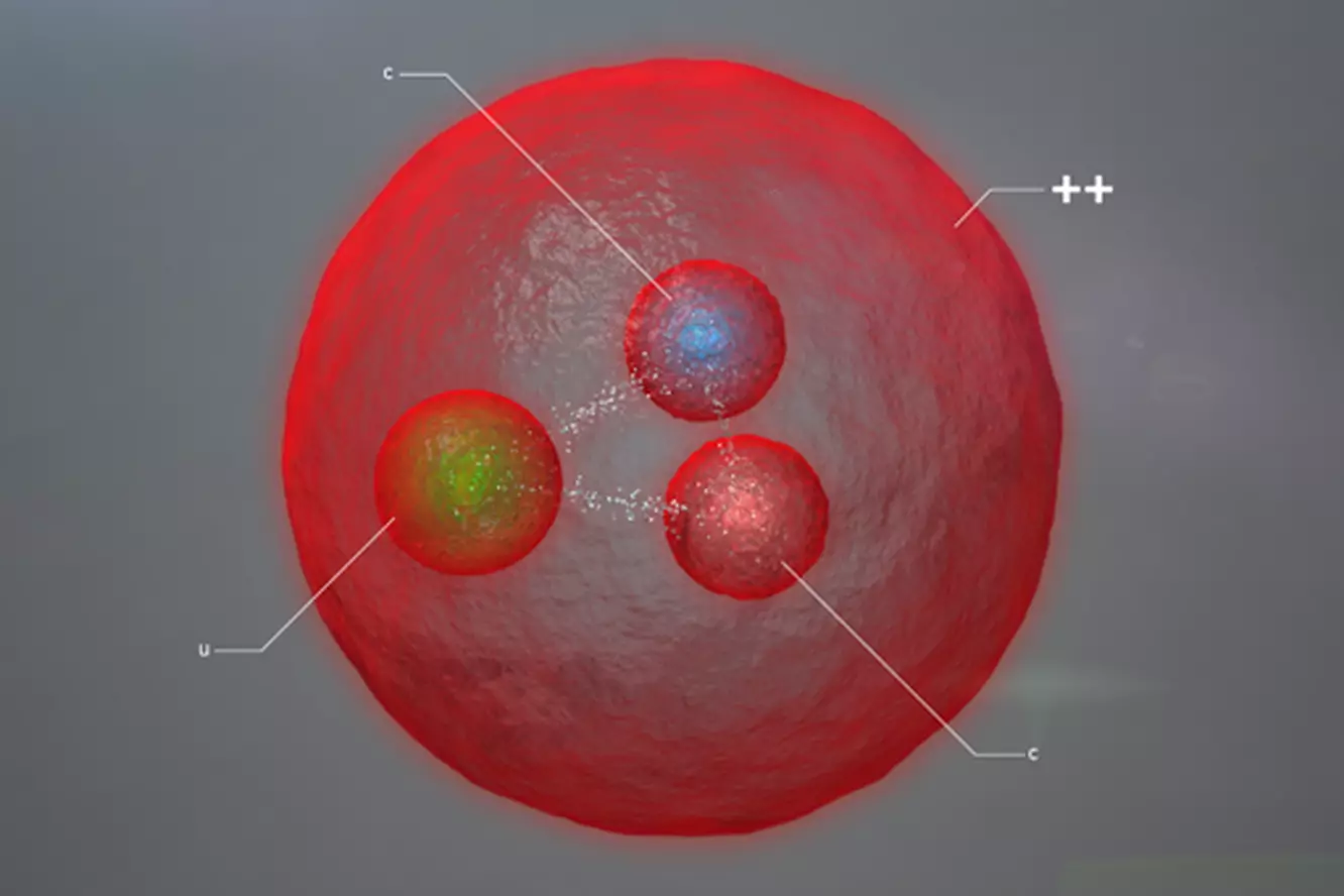 Der LHC-Detektor hat ein neues Teilchen registriert