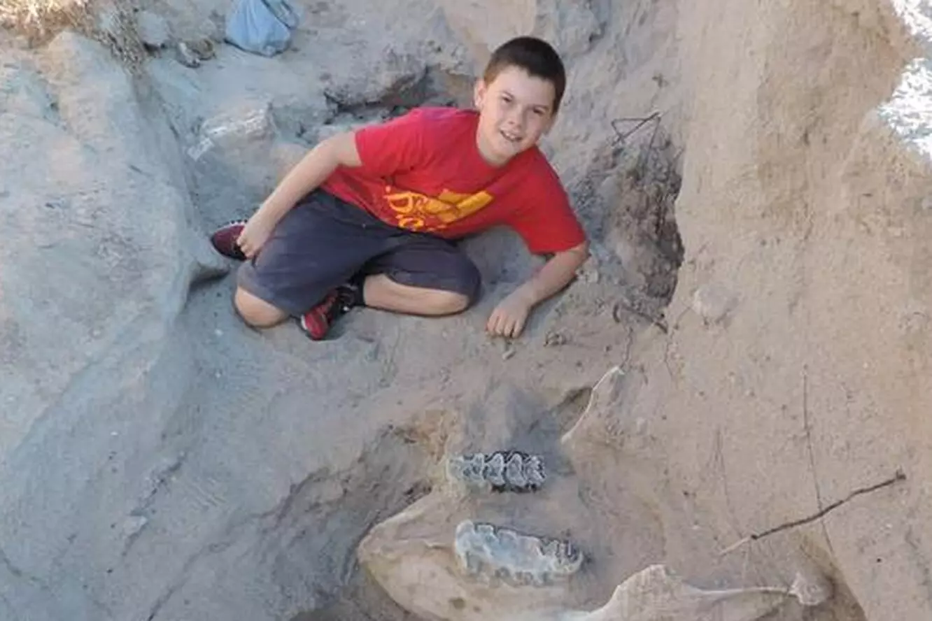 Μαθητής ανακαλύπτει το κρανίο ενός προϊστορικού θηλαστικού