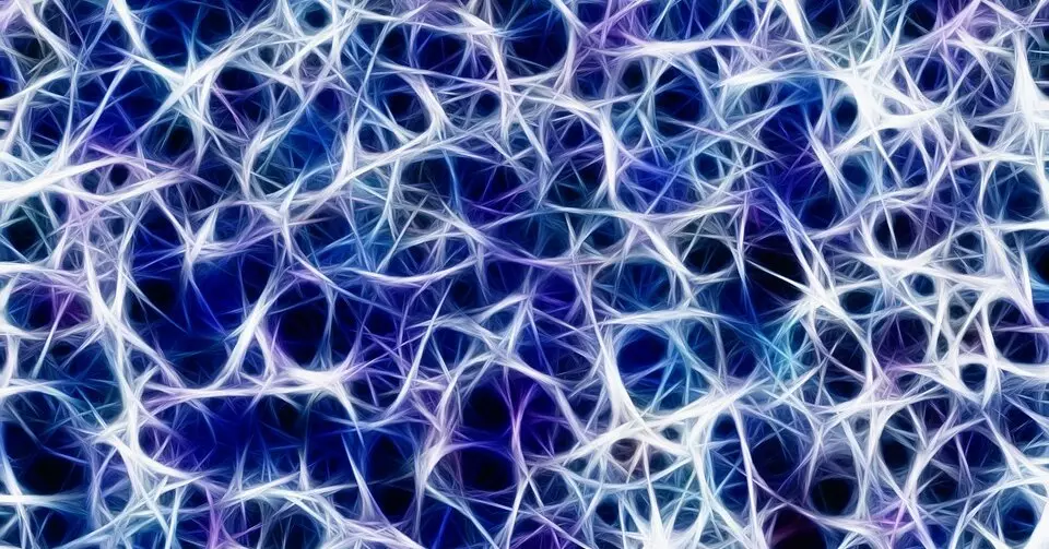 Mozak je po prvi put spojen na internet