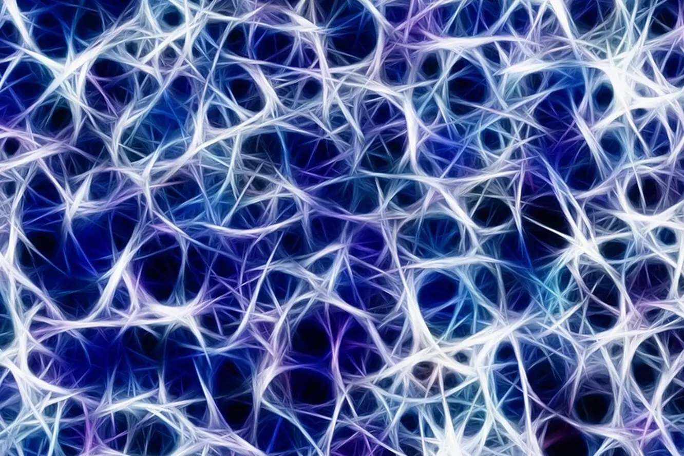 Mózg został po raz pierwszy podłączony do Internetu