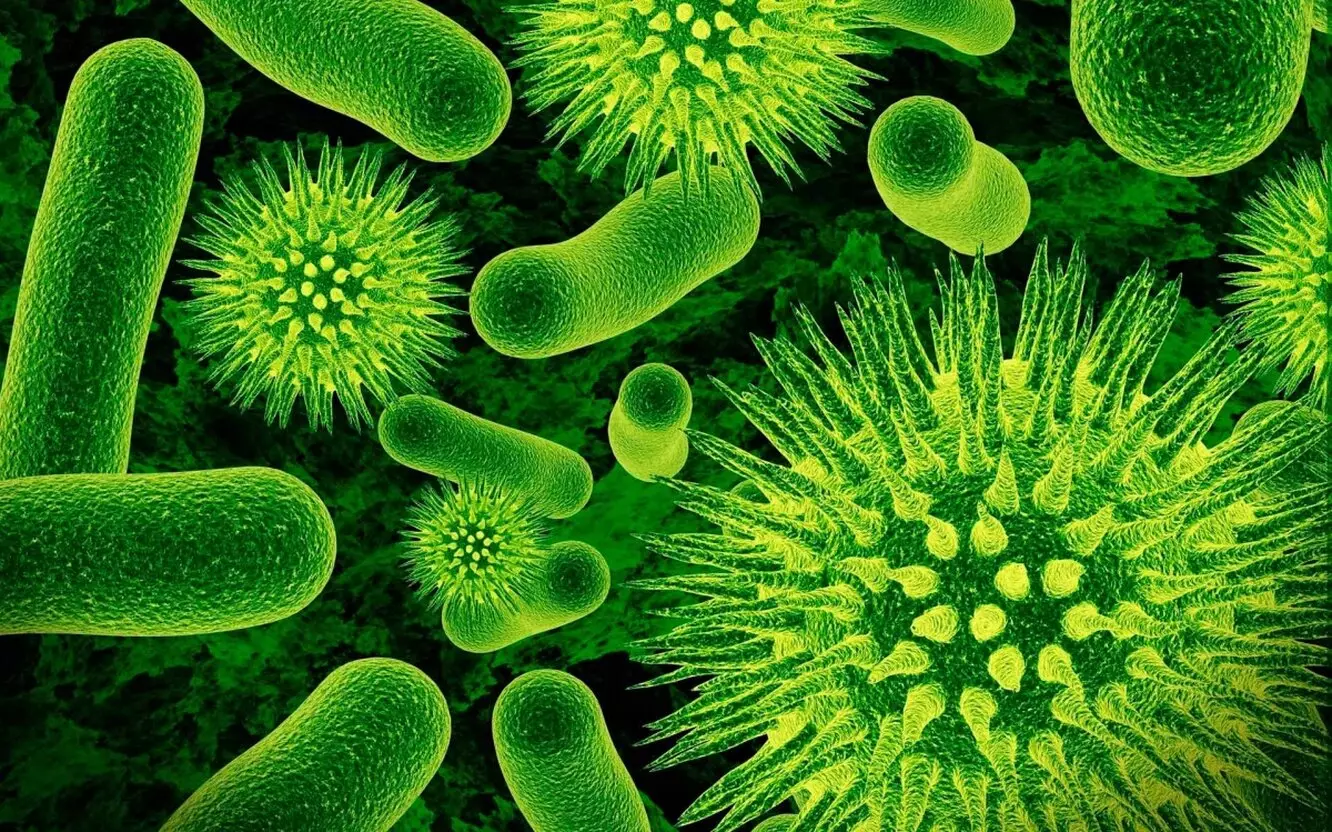 I punti quantici hanno reso gli antibiotici 1000 volte più potenti: la sintesi di fisica e medicina 353260_2