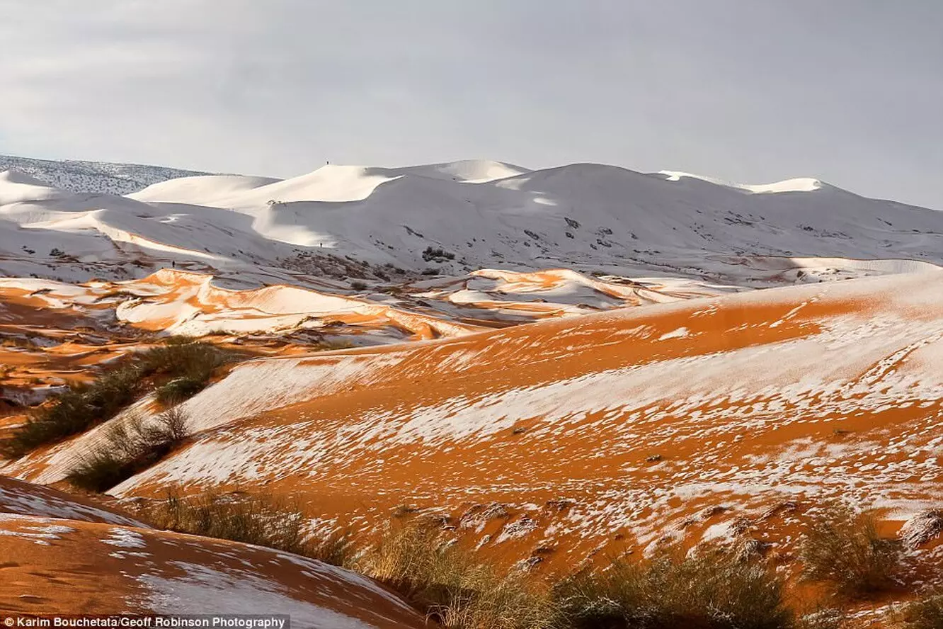 La nieve vuelve a caer en el Sahara 354572_2