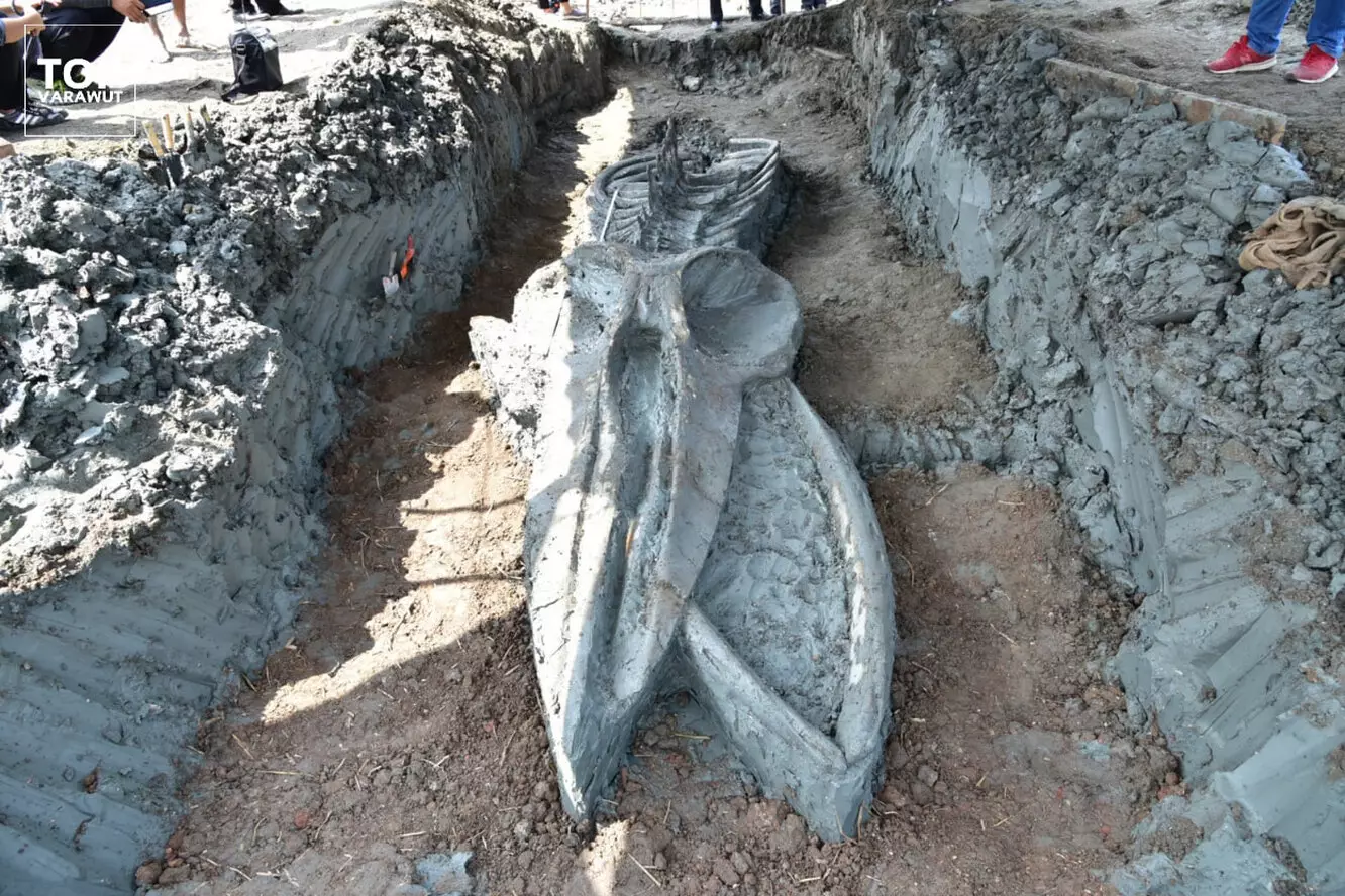 ဘန်ကောက်မြို့အနီးတွင် နှစ်ပေါင်း ၅၀၀၀ သက်တမ်းရှိ ဝေလငါးအရိုးစုကို တွေ့ရှိခဲ့သည်။ 356701_2