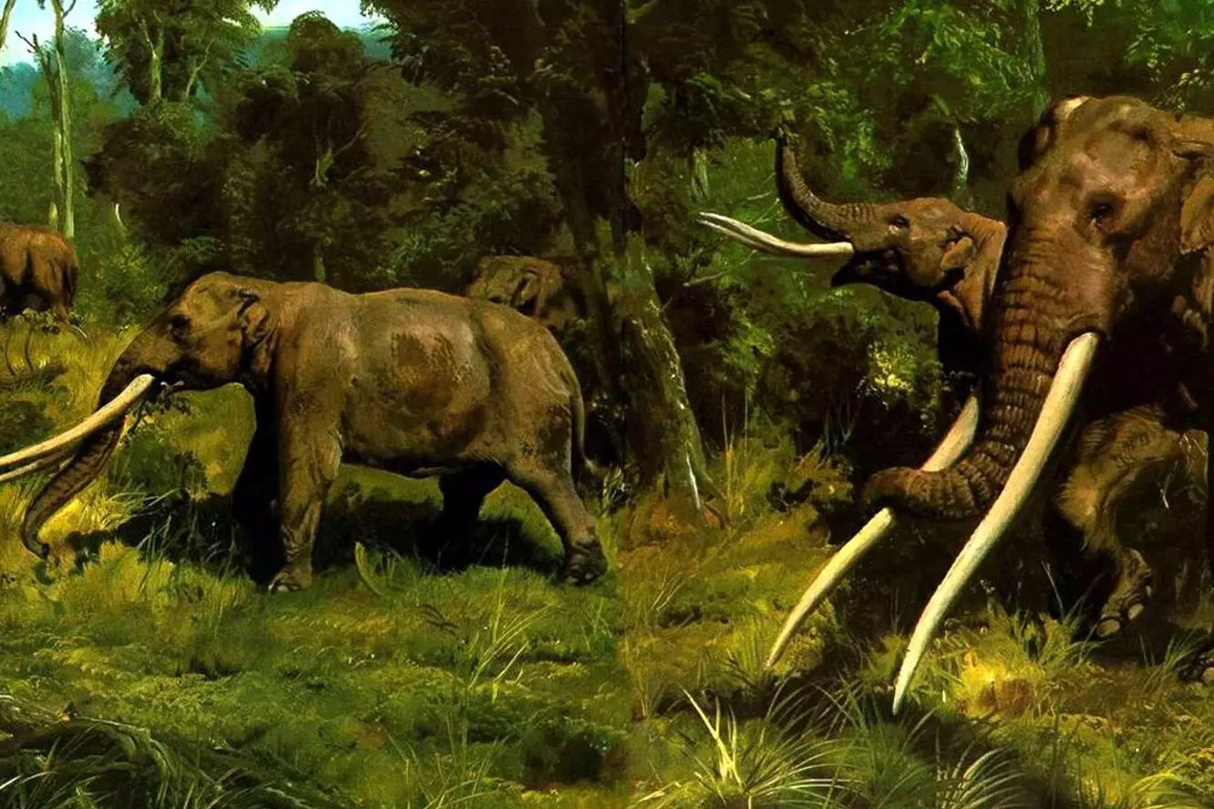 Cráneo de mastodonte descubierto en Francia