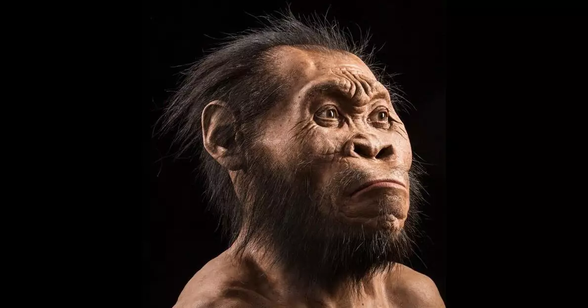 Homo naledi haqqında nə bilirik: 7 maraqlı fakt