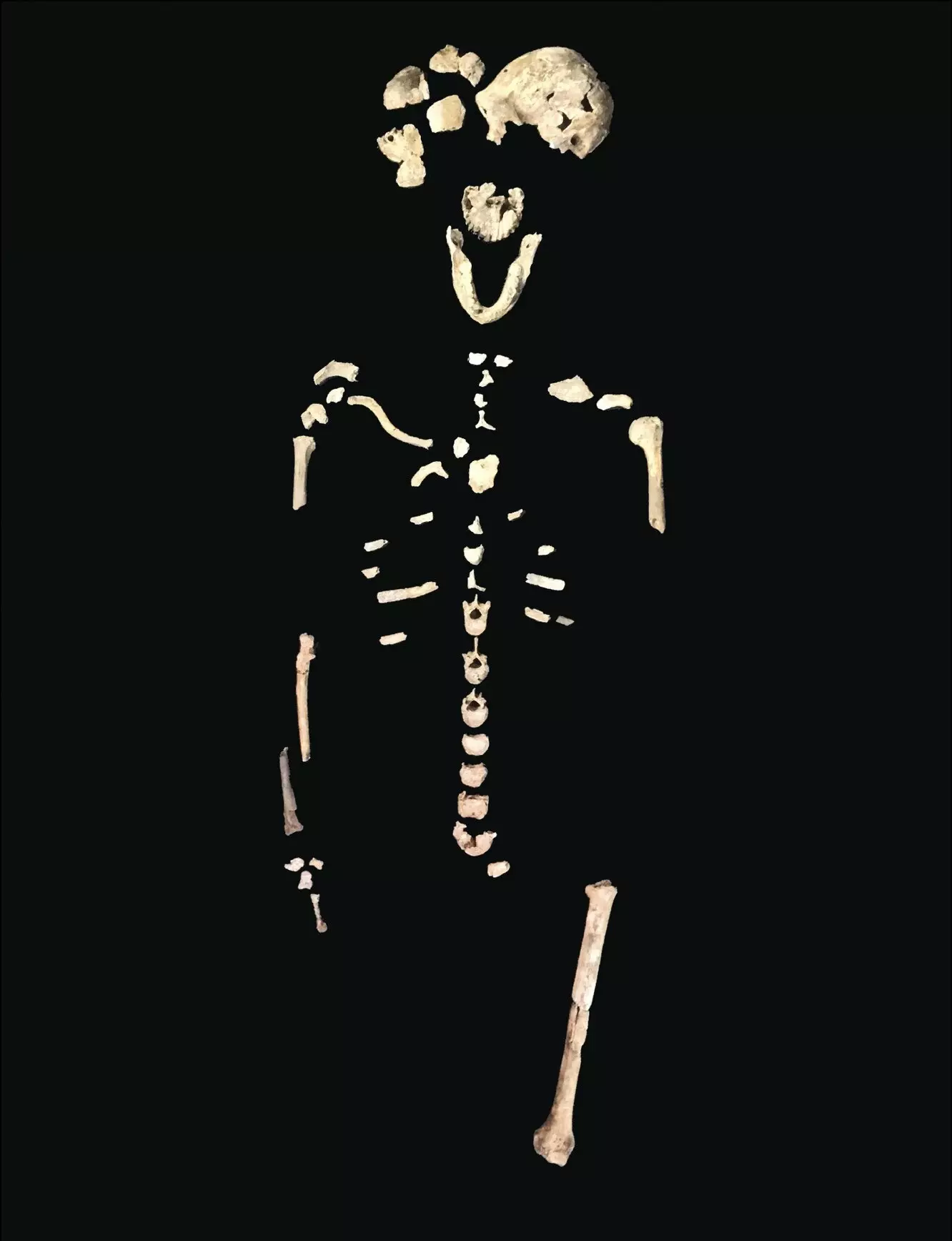 Me muka sani game da Homo naledi: abubuwa 7 masu ban sha'awa 358339_2