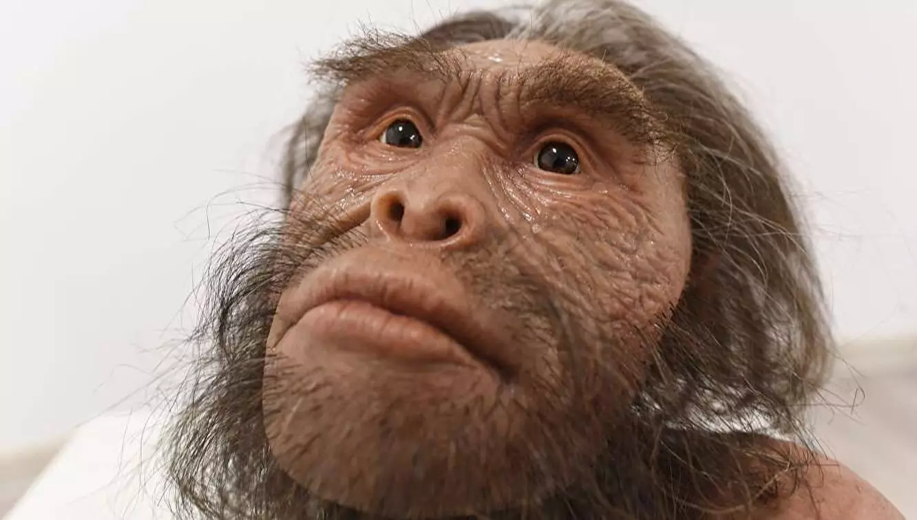 Me muka sani game da Homo naledi: abubuwa 7 masu ban sha'awa 358339_5