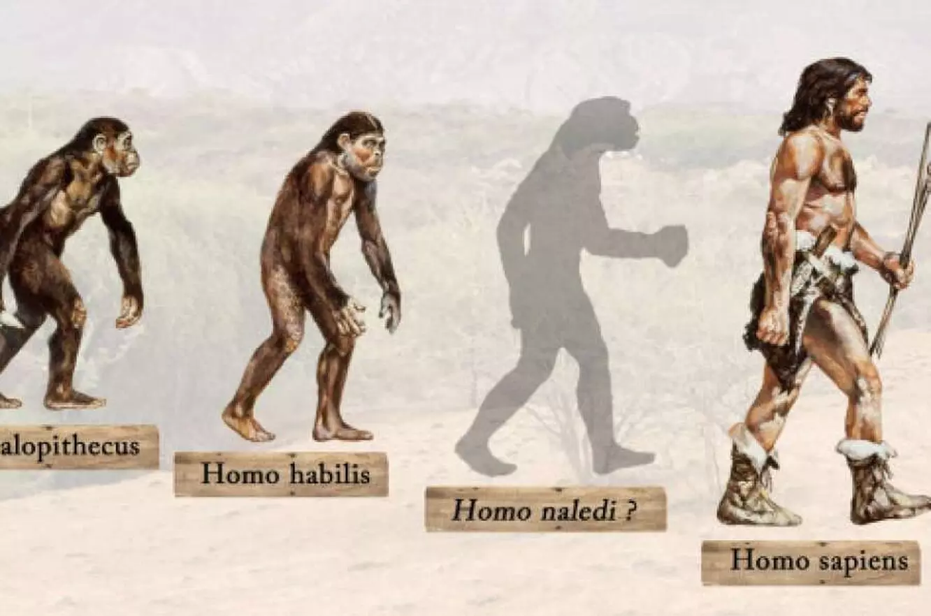 Me muka sani game da Homo naledi: abubuwa 7 masu ban sha'awa 358339_7