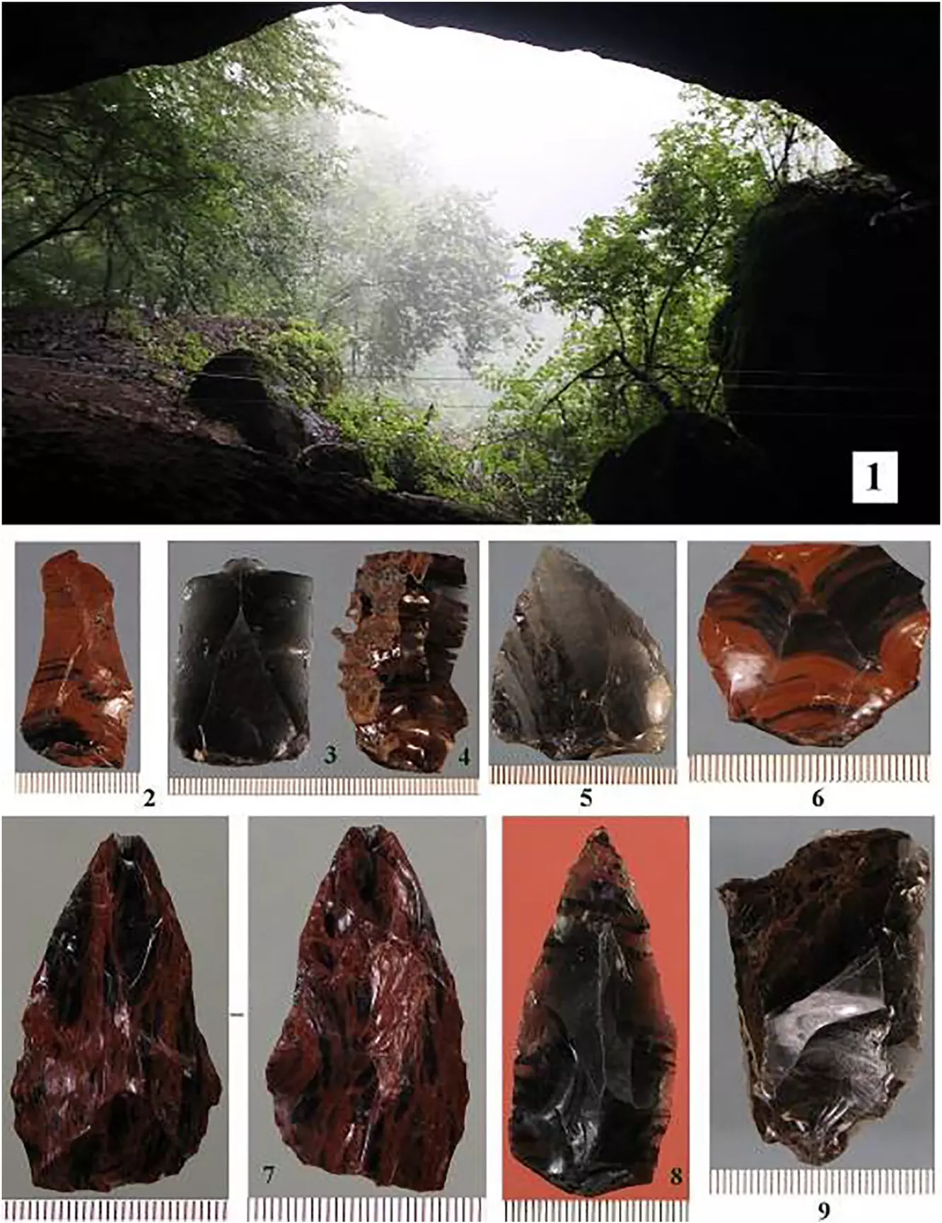 Neanderthals គឺជាពាណិជ្ជករដំបូងគេ 359119_2