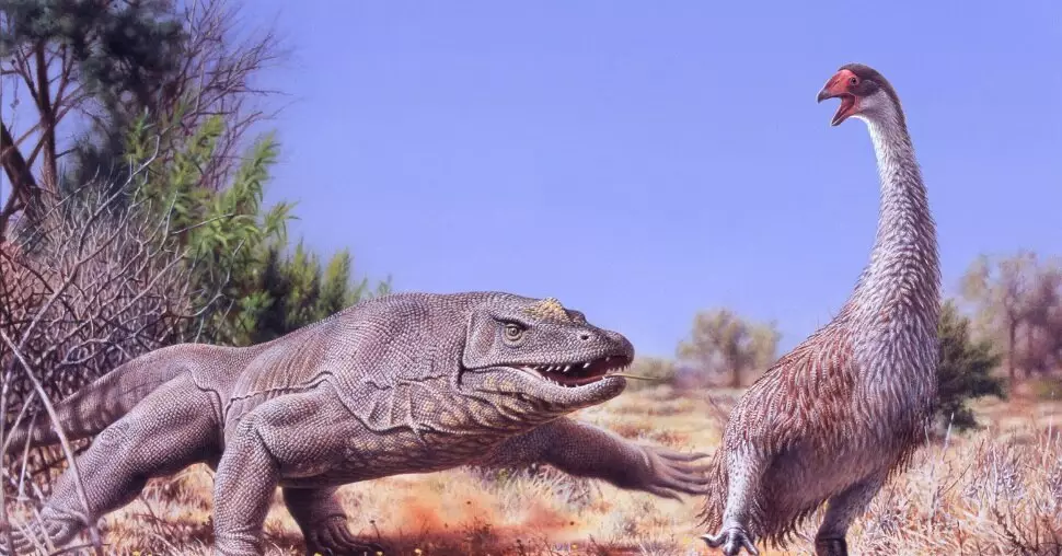 Megafauna: 10 ongelooflijke wezens van prehistorisch Australië