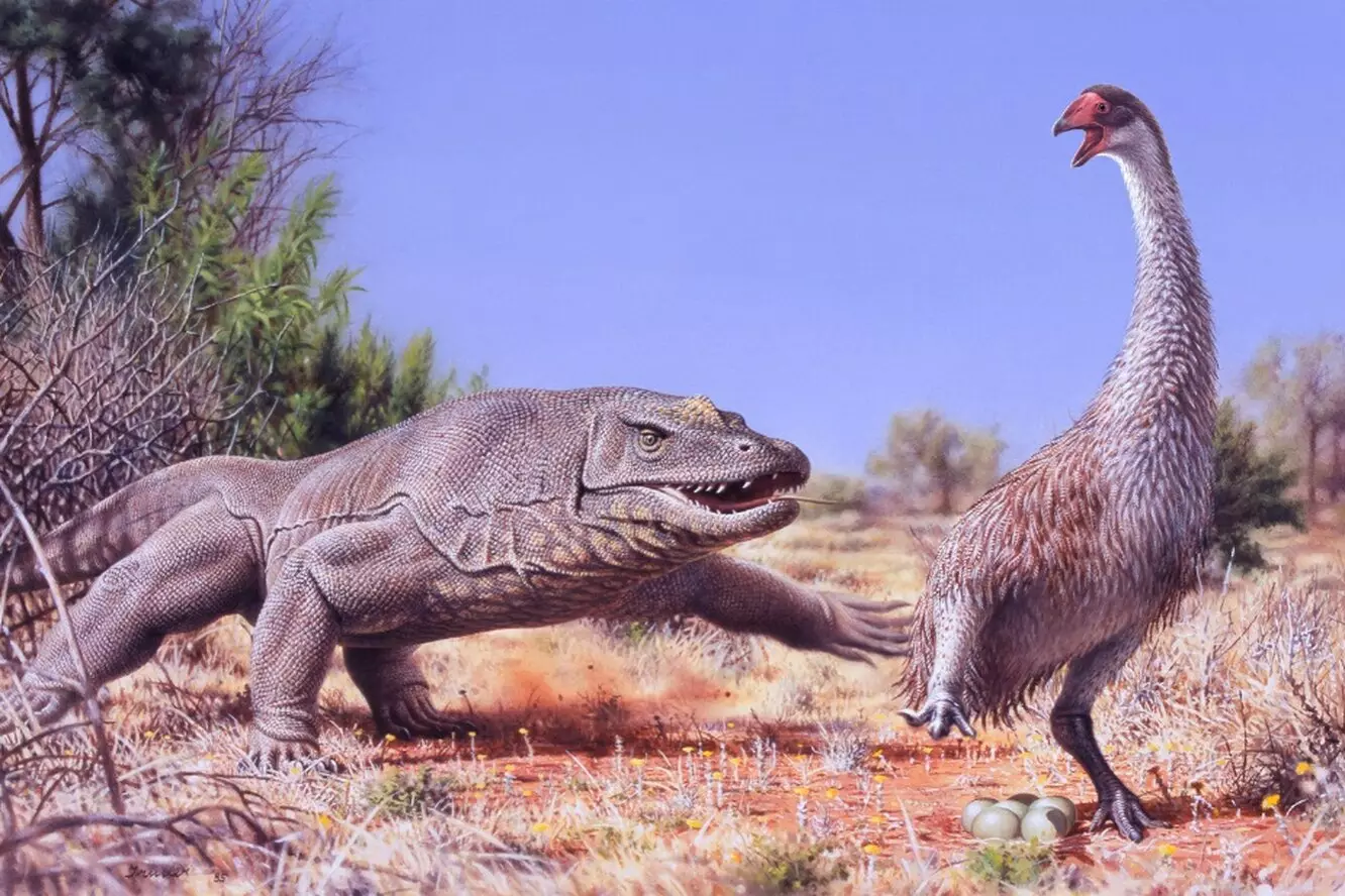 Megafauna: 10 สิ่งมีชีวิตที่น่าทึ่งของยุคก่อนประวัติศาสตร์ออสเตรเลีย