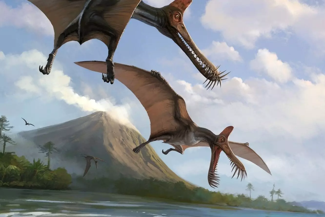 Mystery of pterosaur plumage revealed