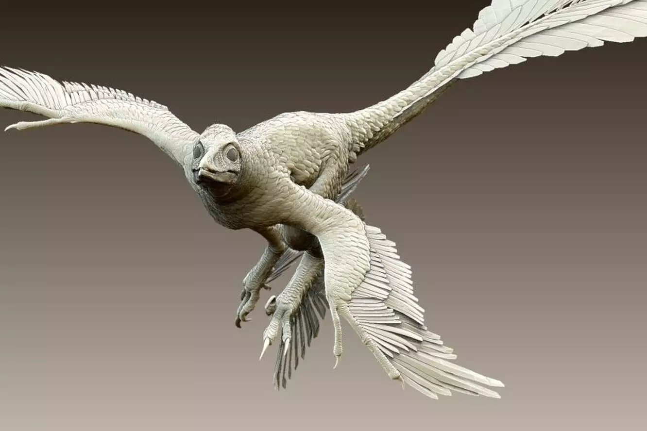 Feathered dinosaurs kawm ya ua ntej noog