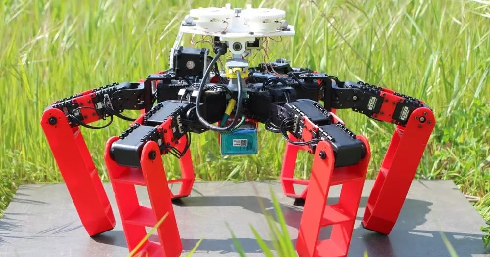 Lõi roboti, mis navigeerib nagu kõrbesipelgas