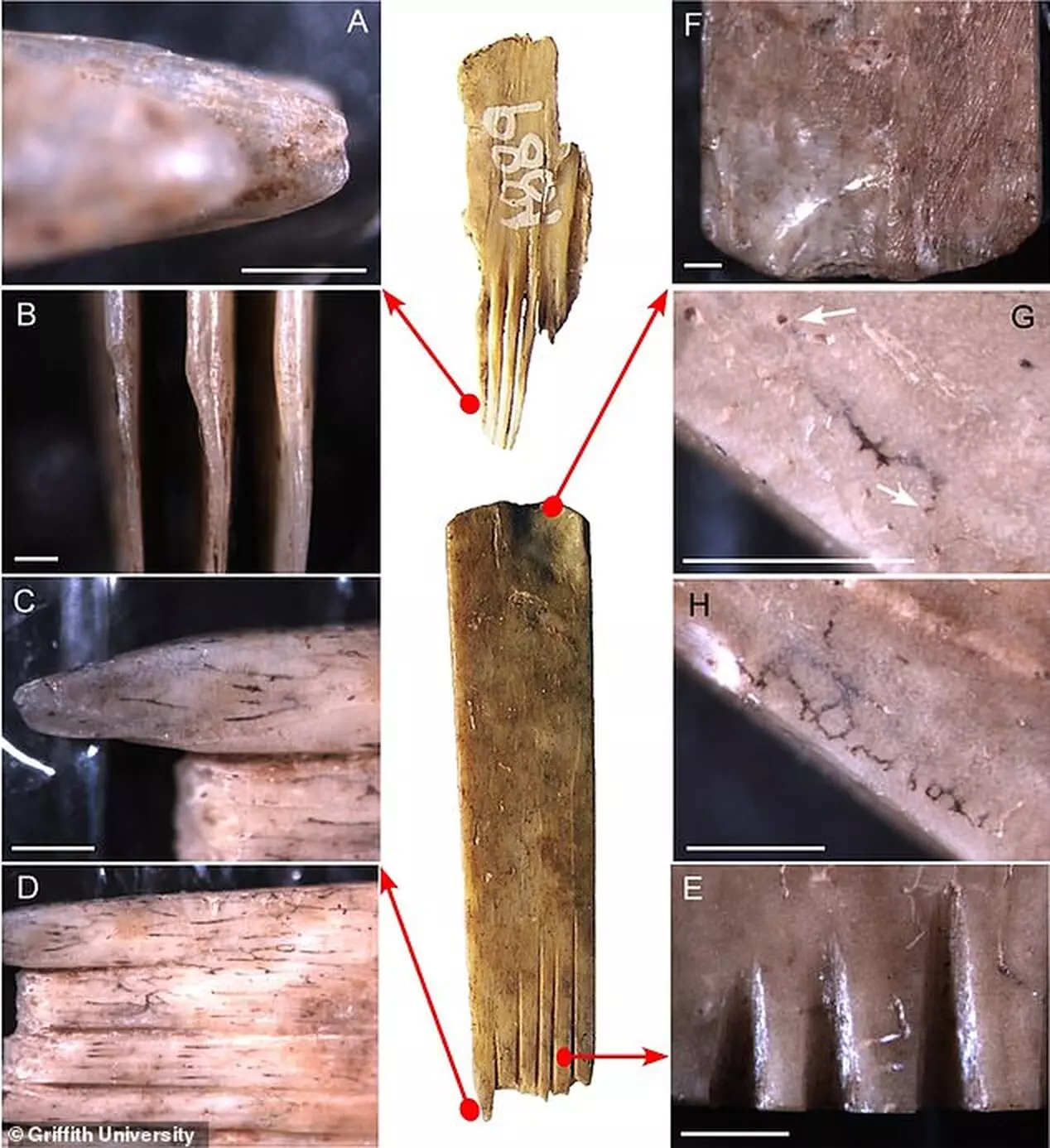 S'ha trobat el conjunt d'eines de tatuatge més antic del món 360726_2