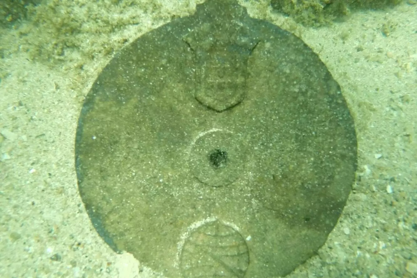 Megtalálták a világ legrégebbi tengeri asztrolábiumát