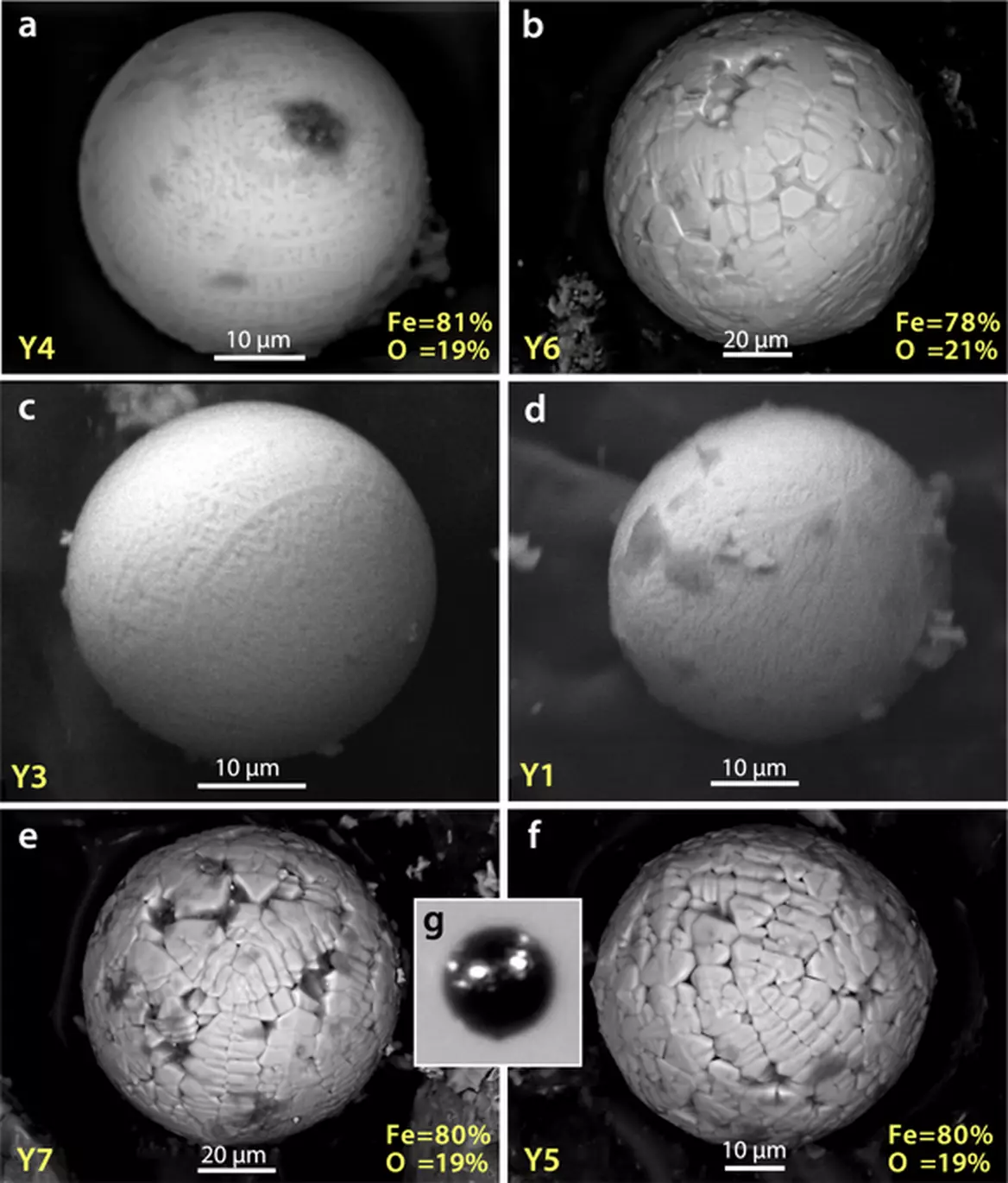 Ama-mammoths nawo afa ngenxa yokuwa kwe-asteroid 360956_2