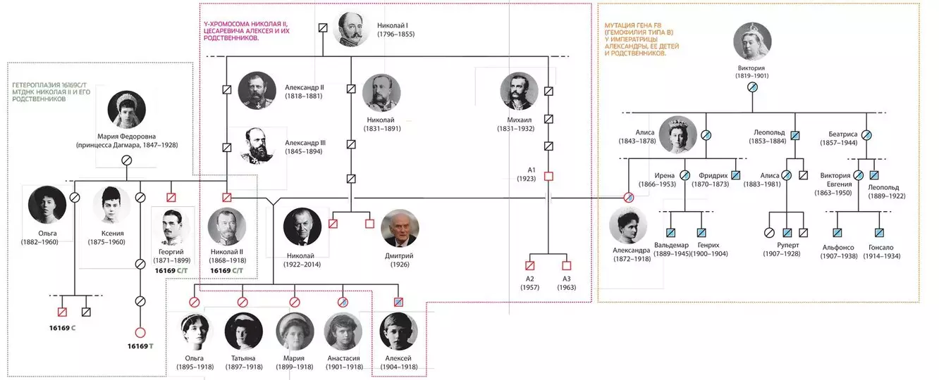 Kamoo masala a Nicholas II le lelapa la hae a ileng a khetholloa kateng ka DNA 361216_8