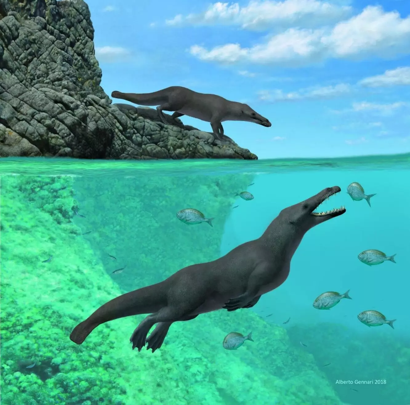 Sisa ikan paus purba dengan empat kaki ditemui di Peru 361332_1