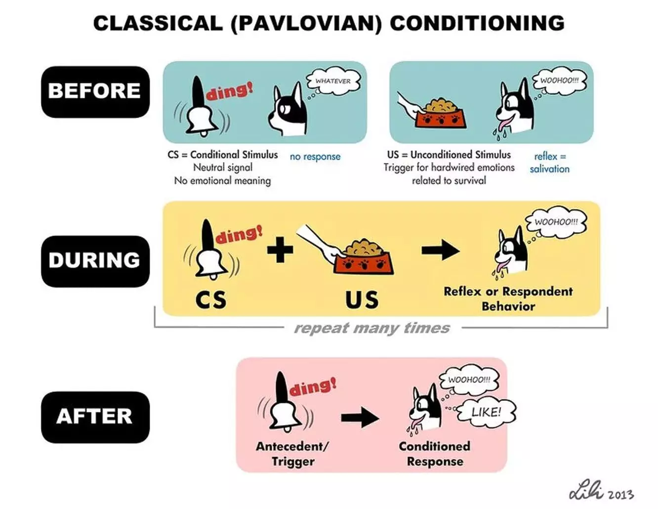 Павловљев пас је најпознатији пример класичног кондиционирања, у којем пас слини као одговор на звоно јер је развио асоцијативну меморију између звона и хране.