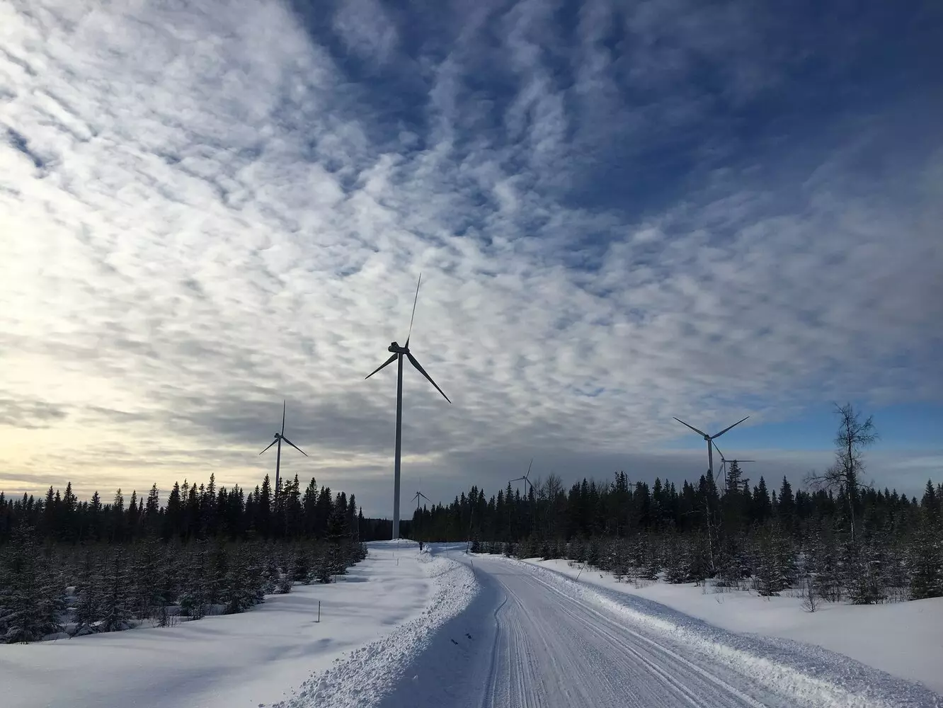 Patsi, letsatsi le maqhubu: ke eng e tla futhumatsa Arctic ea Russia 363311_5