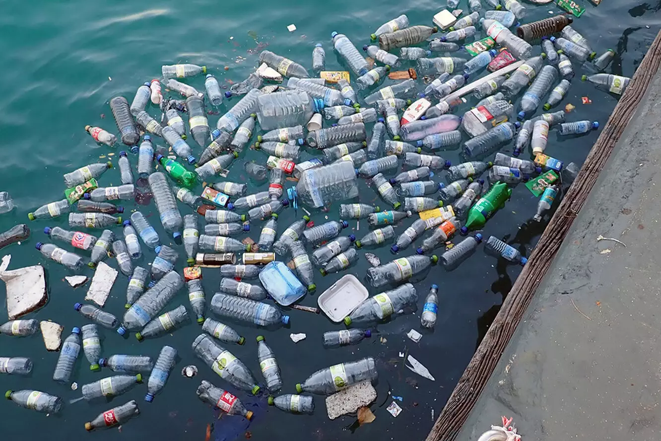 No se encontraron daños por plástico en el agua potable