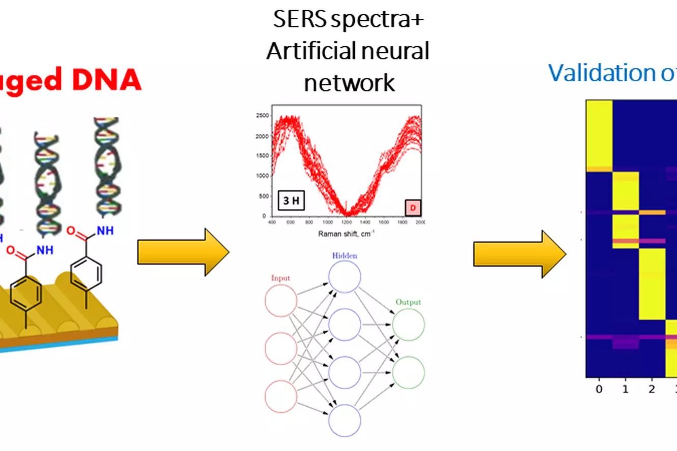 Ang mga neural network nakakat-on sa pagpangita sa kadaot sa DNA