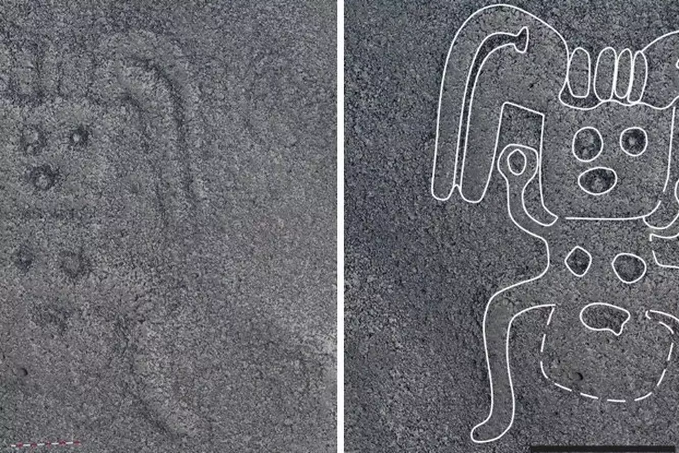 Yapay zeka yeni bir Nazca jeoglifi keşfetti