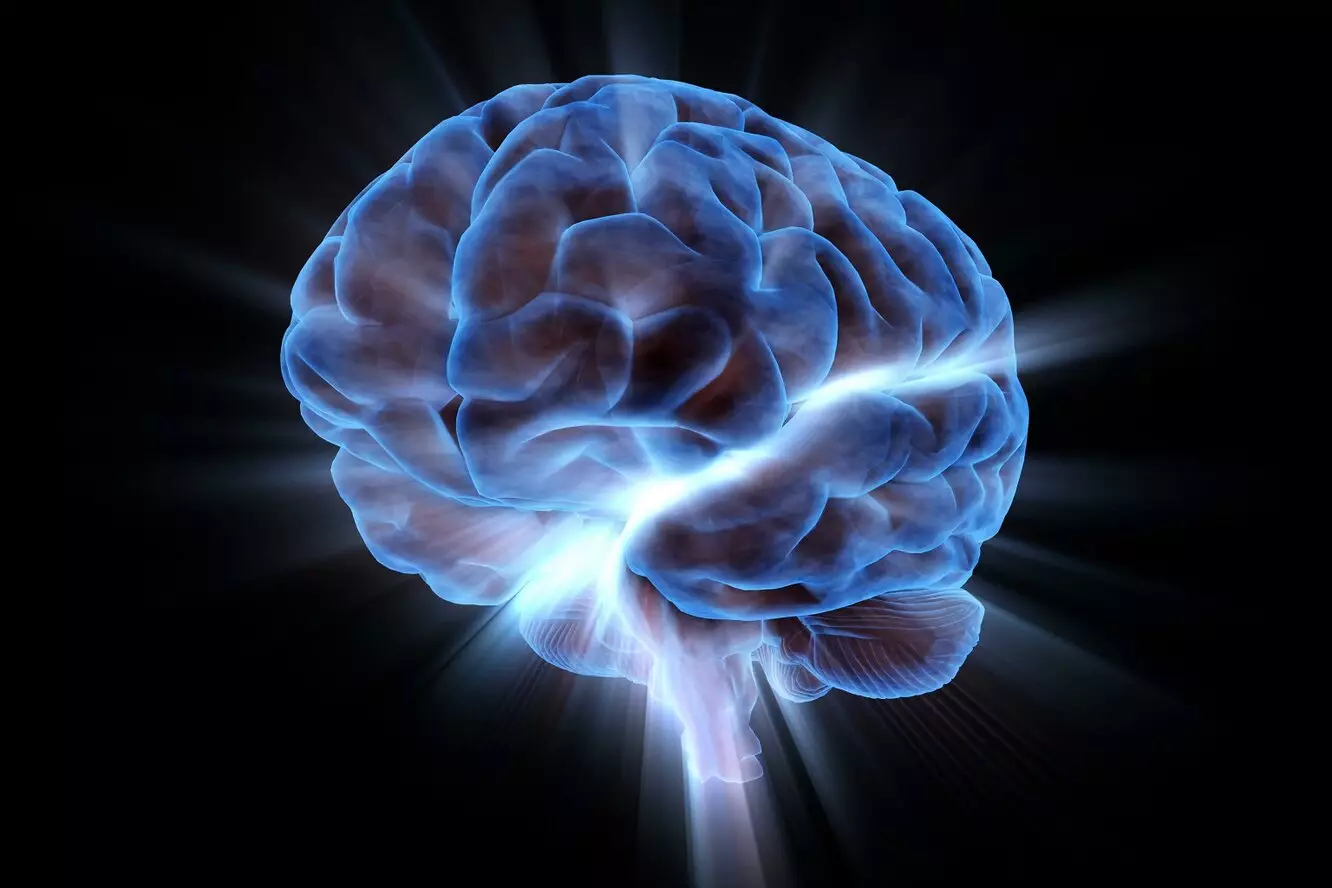 Kako znanstveniki gojijo človeške možgane v laboratoriju