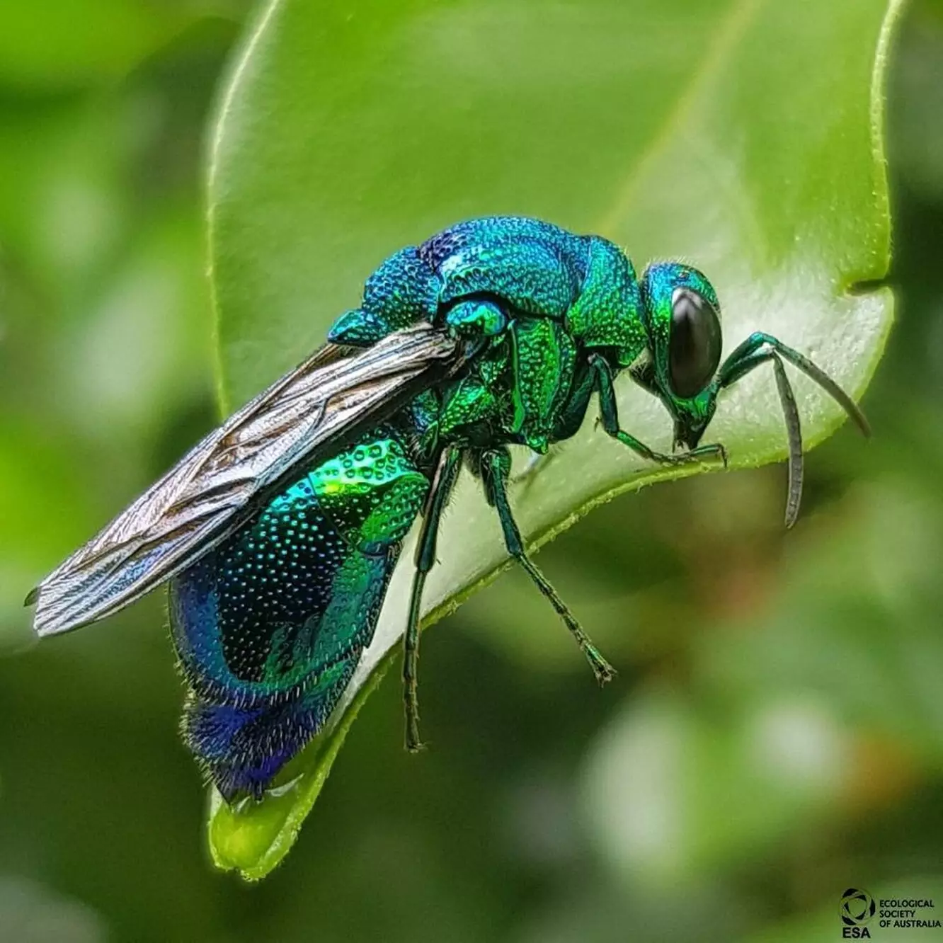 Découvrez les superbes photos du concours Écologie en action 2019 368222_3