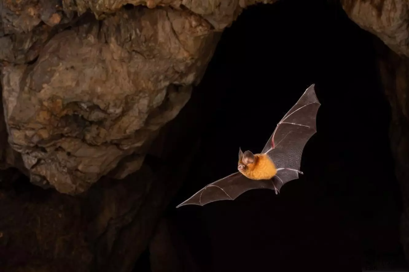 Découvrez les superbes photos du concours Écologie en action 2019 368222_5