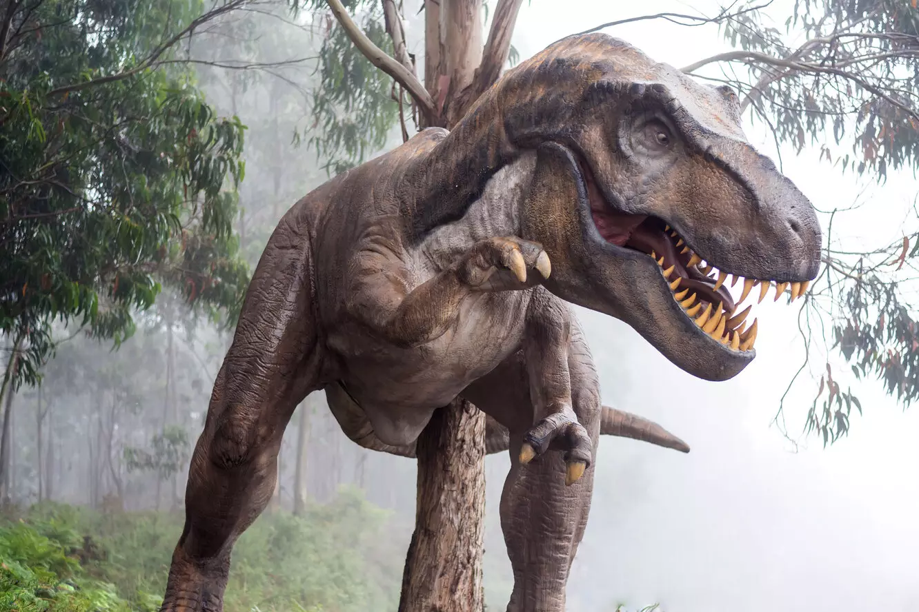 Bukti anyar ditemokake kanggo dinosaurus berdarah panas