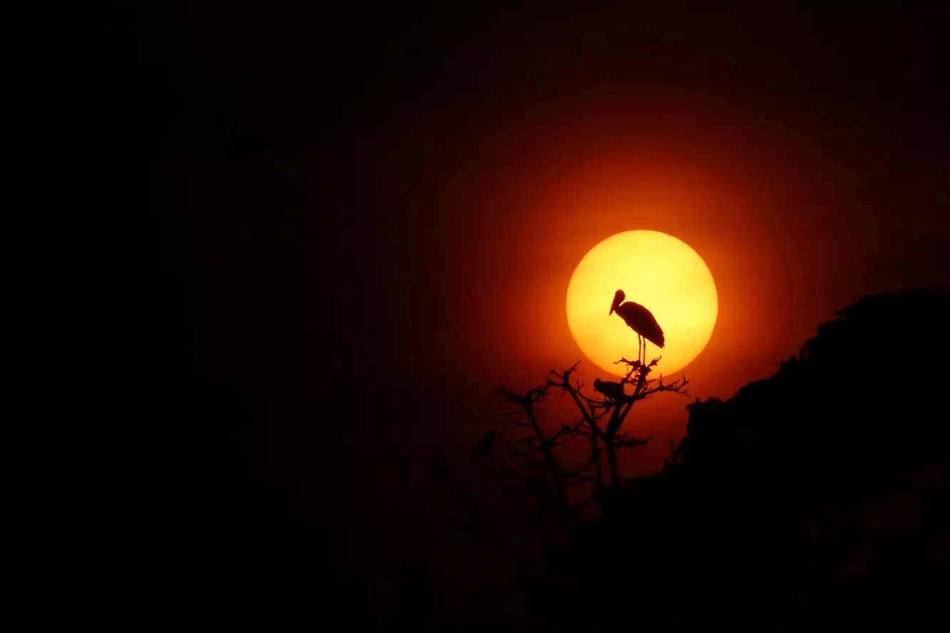 As melhores fotos do concurso de fotografia de animais selvagens da Agora foram reveladas 370229_2