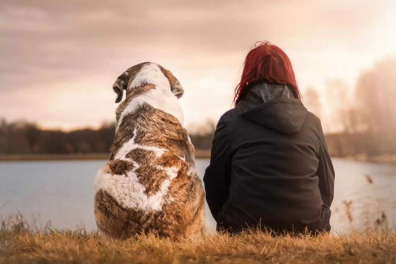 Forskare tar bort misstankar från pangoliner och lugnar hundägare