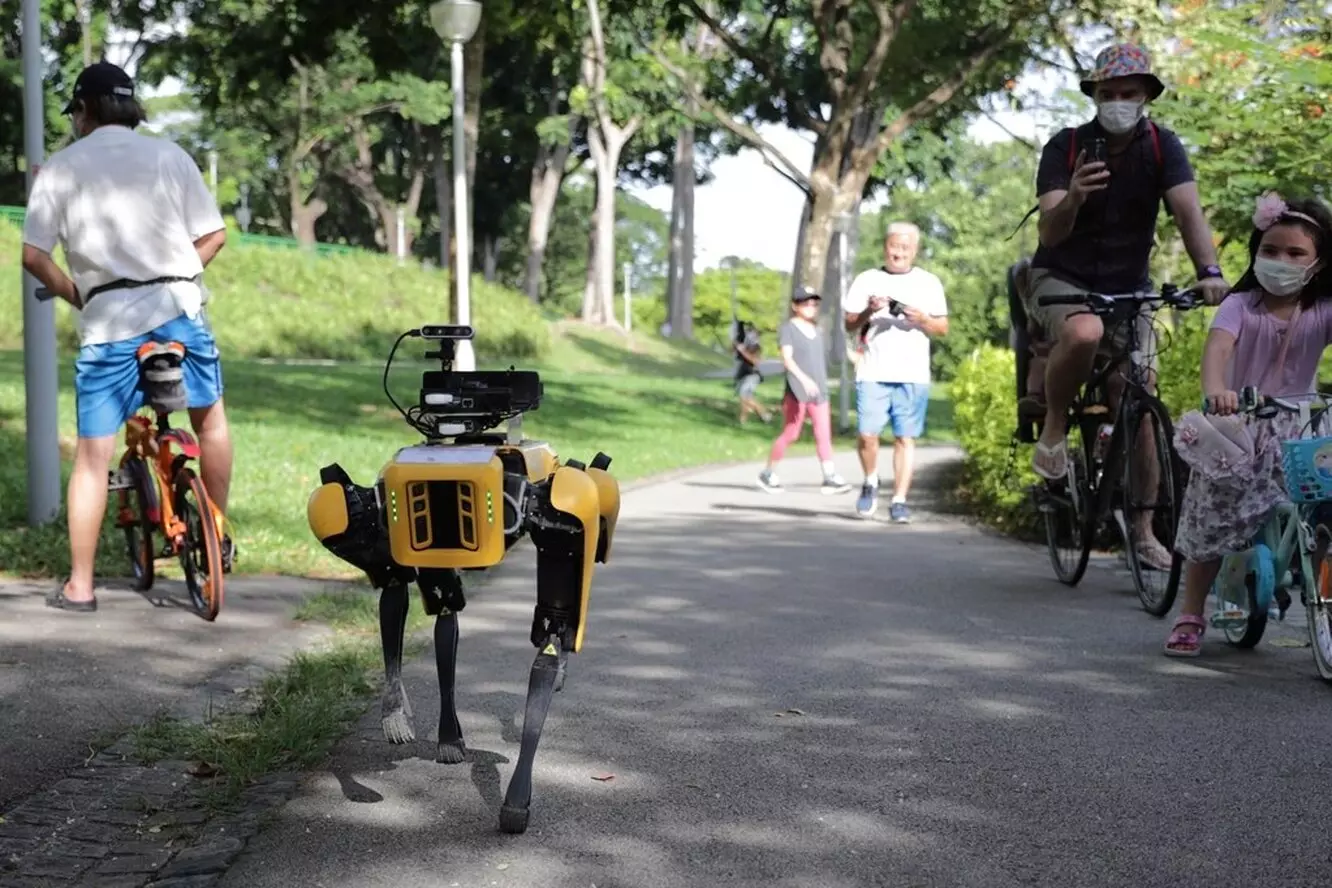 Perros robóticos comenzaron a controlar la distancia entre personas