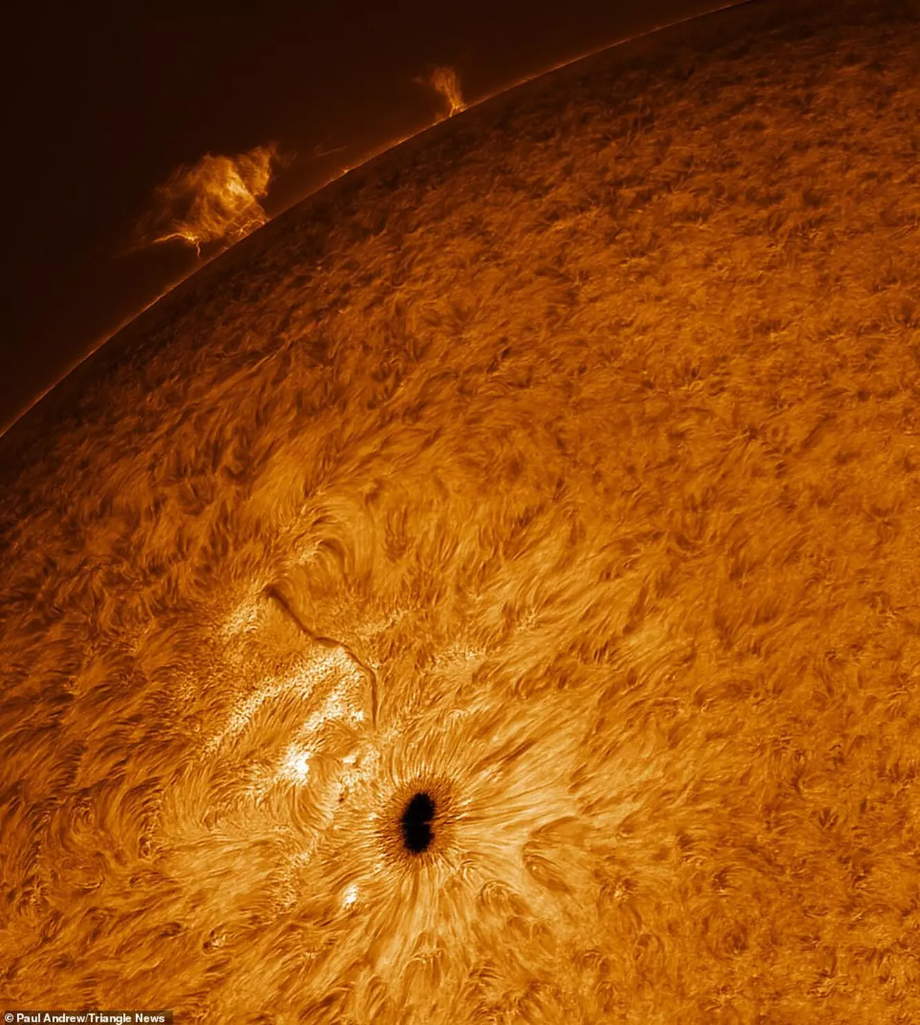 Sun surface